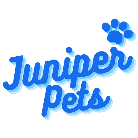 12 Mental Stimulation Activities for Your Golden Retriever – Juniper Pets